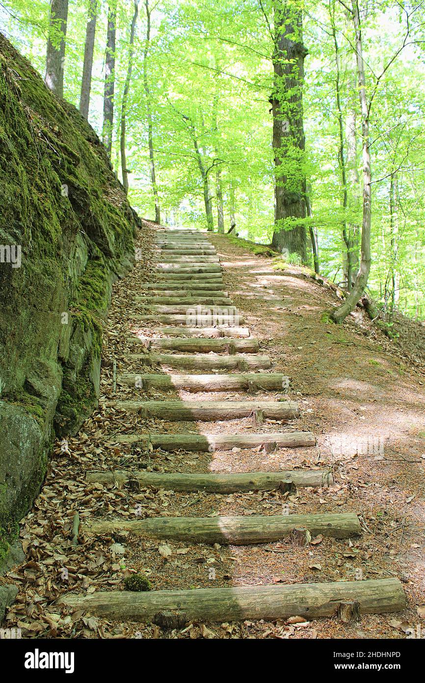 path, wooden stairs, paths, wooden stair Stock Photo - Alamy