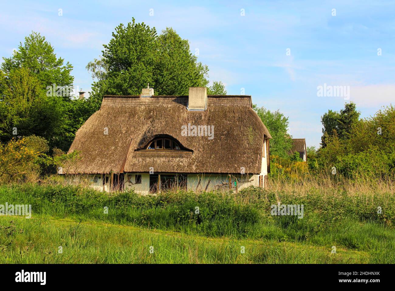 thatch roof, thatched-roof house, thatch roofs, thatched-roof houses ...