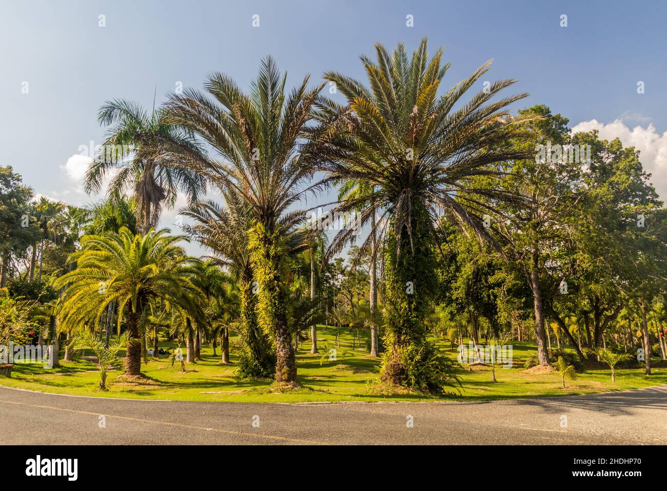 National Botanical Garden in Santo Domingo, capital of Dominican ...