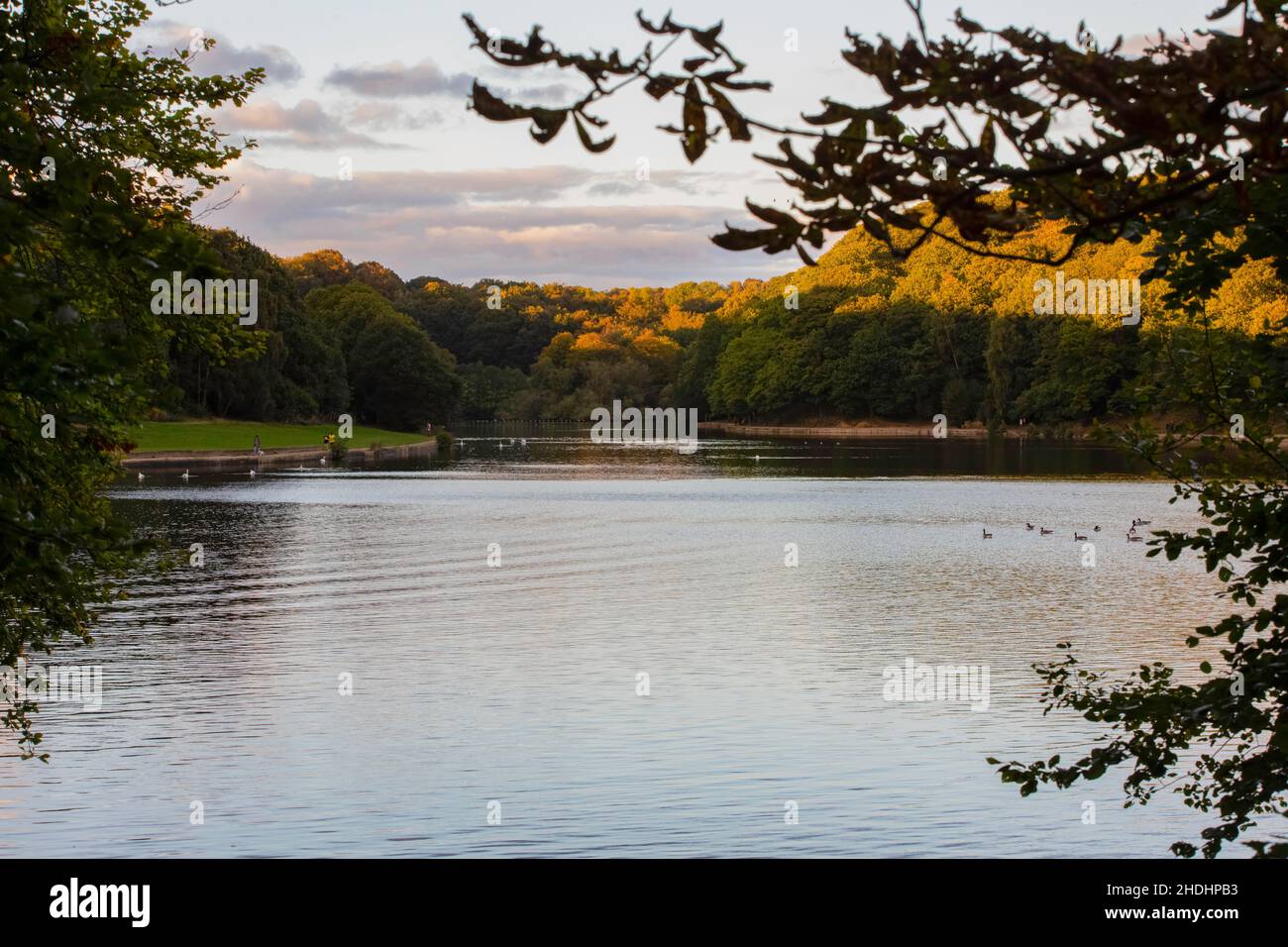 LEEDS, UK - 2 OCTOBER 2019. Roundhay Park Leeds, view across Waterloo ...