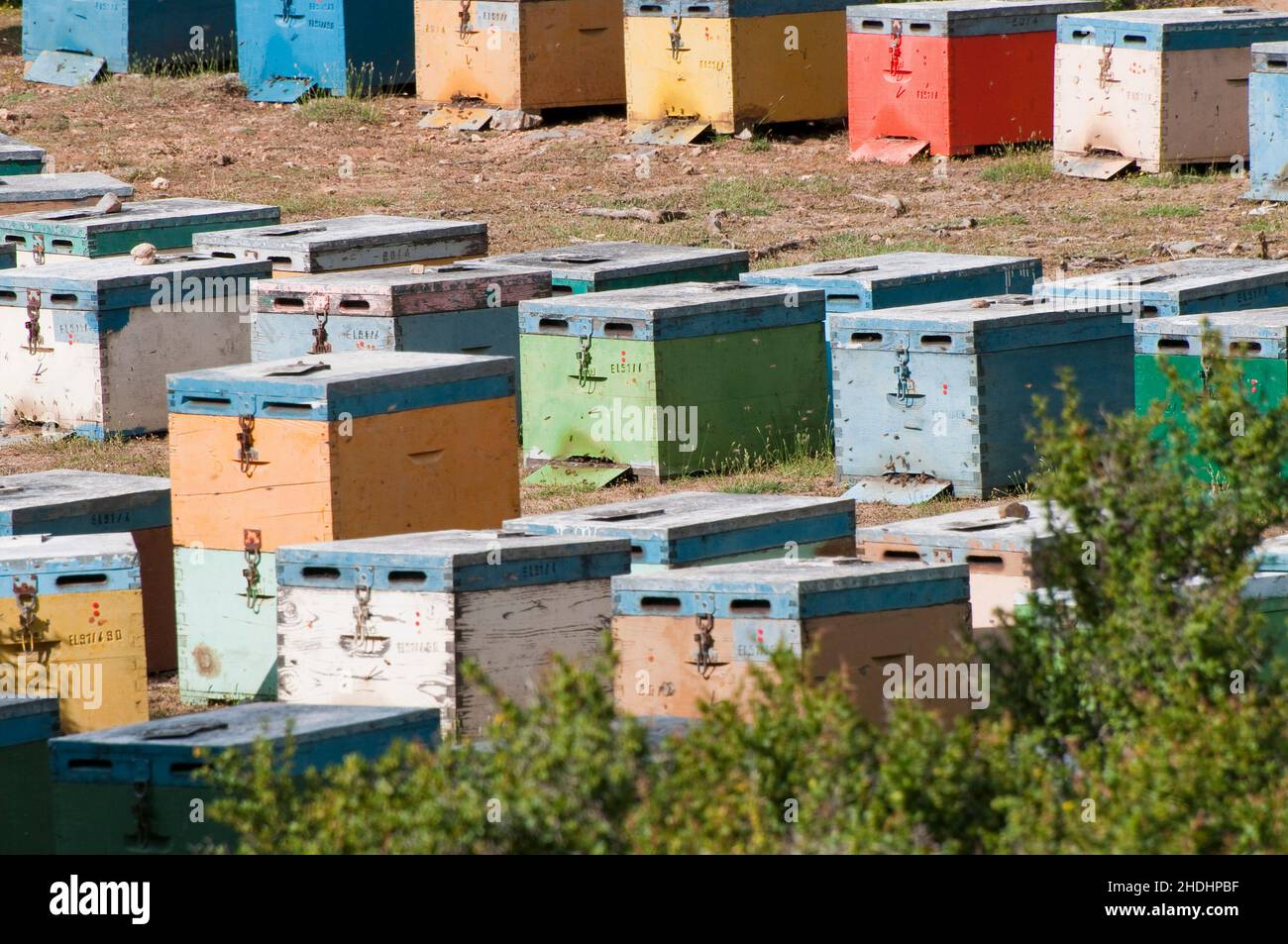 Crete honey beehive hi-res stock photography and images - Alamy
