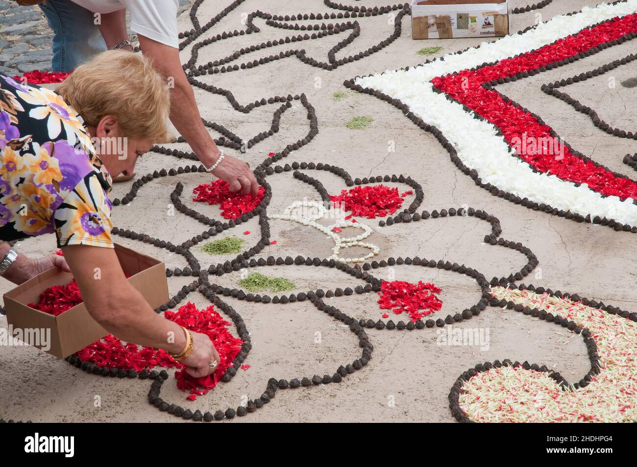 corpus christi, flower arrangements, sand drawing, corpus christis ...