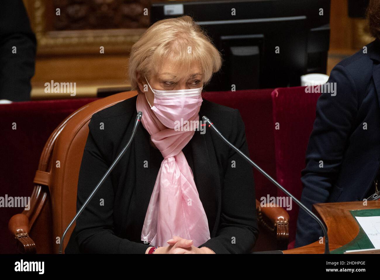 Paris, France. 06th Jan, 2022. Senator Pascale Gruny during a public ...
