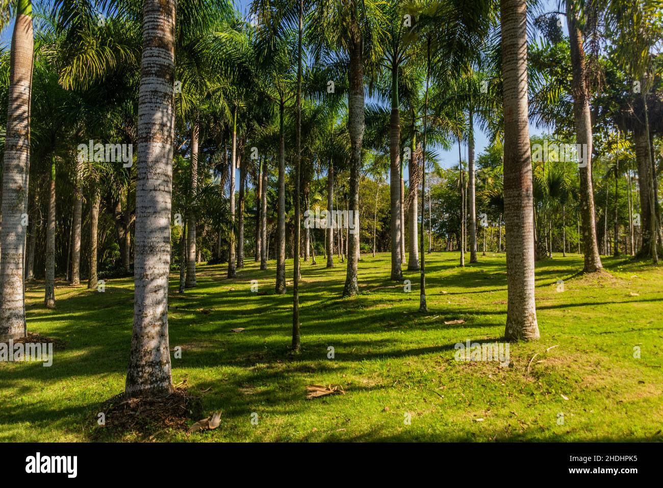 National Botanical Garden in Santo Domingo, capital of Dominican ...