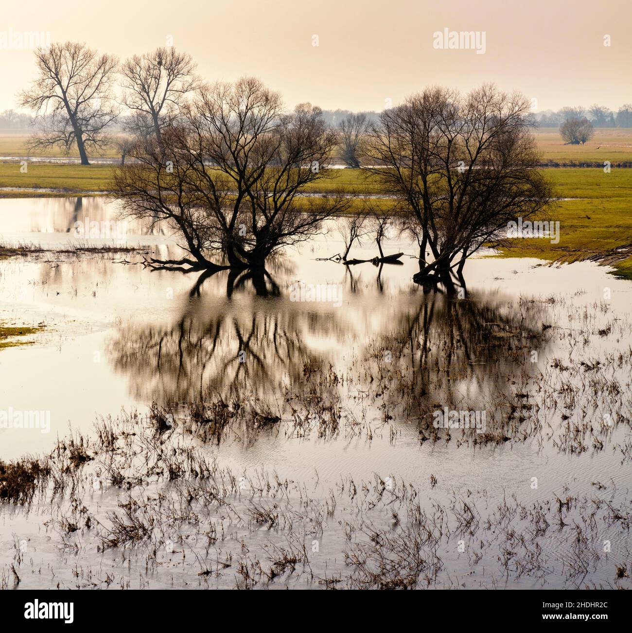 flood, plain tract, floods, plain tracts Stock Photo - Alamy