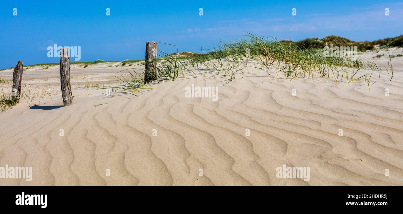 beach, coast, rippled, beaches, seaside, coasts, rippleds Stock Photo ...