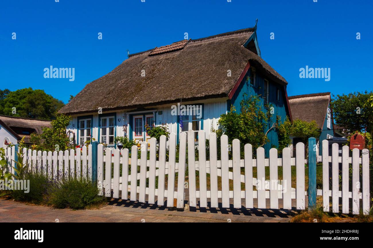 friesland, pale fence, thatched-roof house, frieslands, pale fences ...