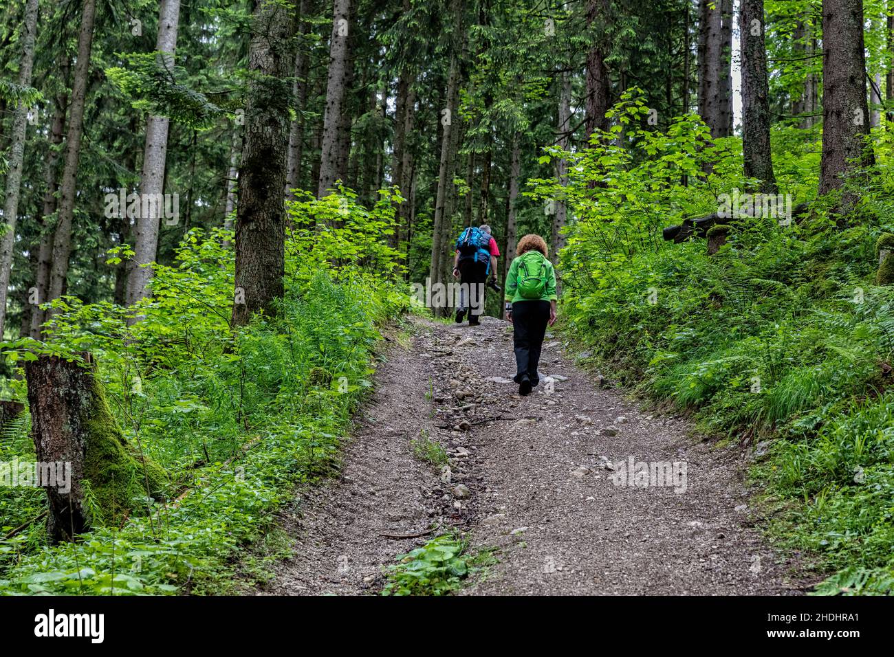 2 paths hi-res stock photography and images - Alamy