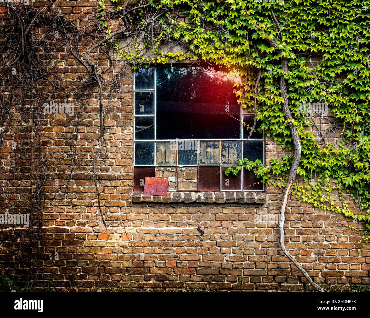 window, leaving, windows, leave Stock Photo - Alamy