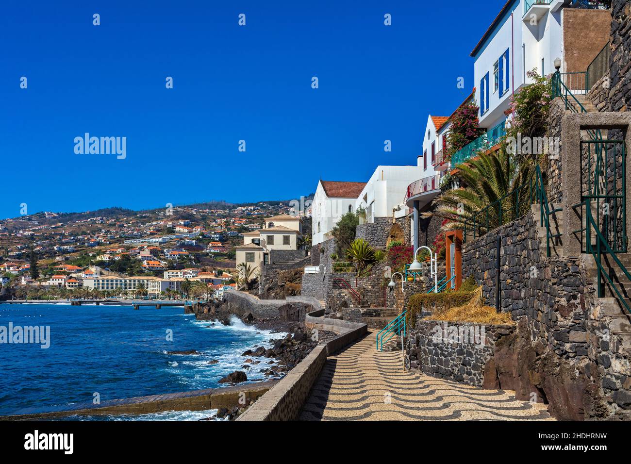 canaries, madeira, santa cruz, canary, madeiras, santa cruzs Stock ...