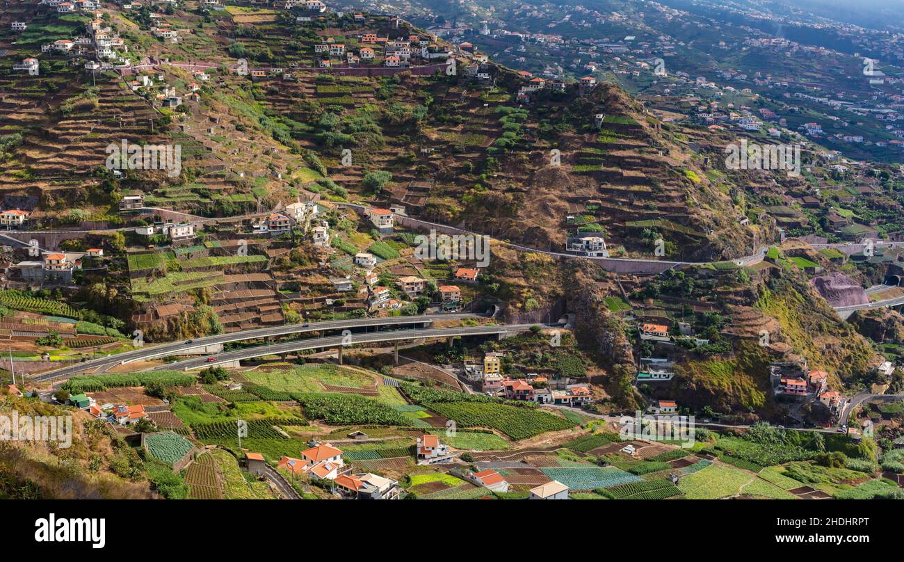 agriculture, madeira, agricultures, madeiras Stock Photo - Alamy