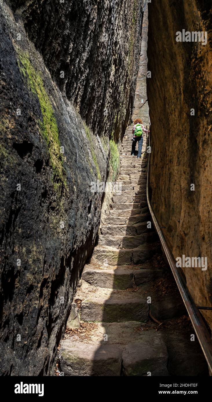 stone stairs, needles, pfaffenstein, needle, pfaffensteins Stock Photo ...