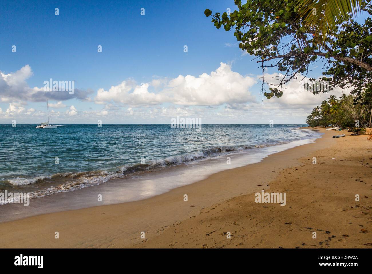 Beach in Las Terrenas, Dominican Republic Stock Photo - Alamy