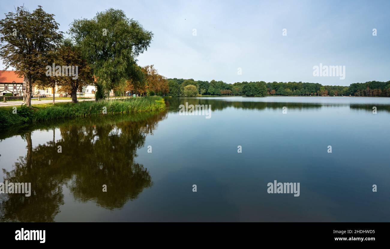 lake, moritzburg, lakes, moritzburgs Stock Photo - Alamy