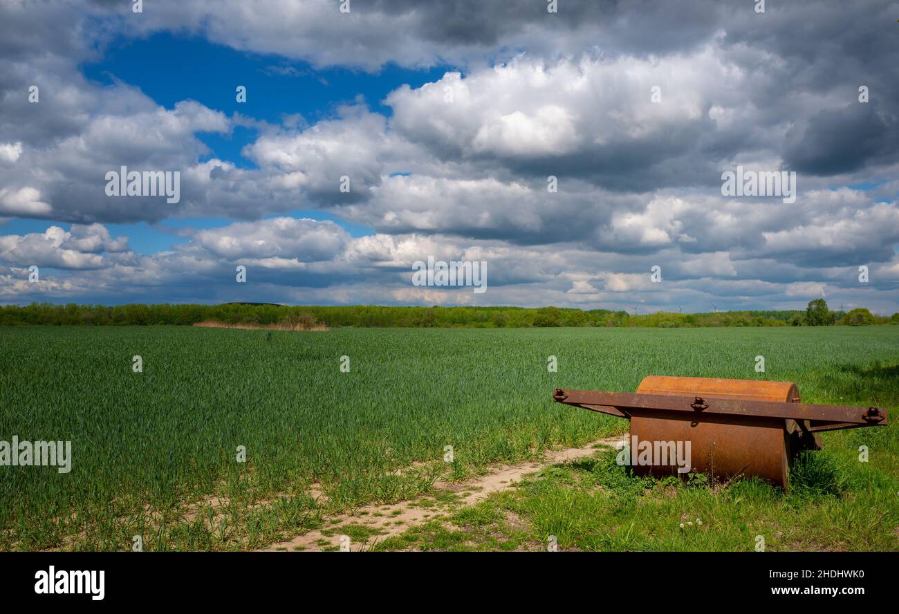 agriculture, corn field, roller, agricultures, corn fields Stock Photo ...