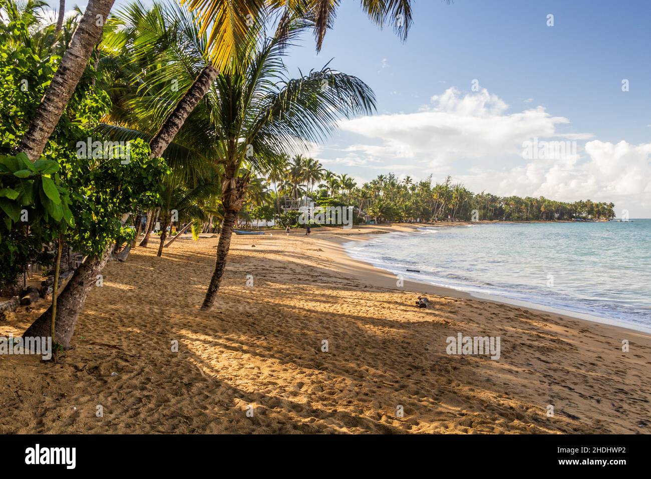 Beach in Las Terrenas, Dominican Republic Stock Photo - Alamy