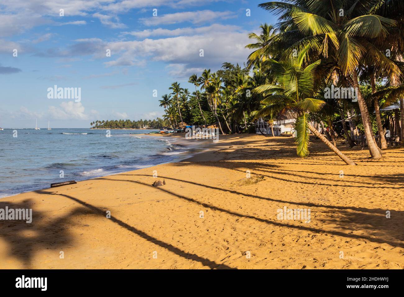 Beach in Las Terrenas, Dominican Republic Stock Photo - Alamy