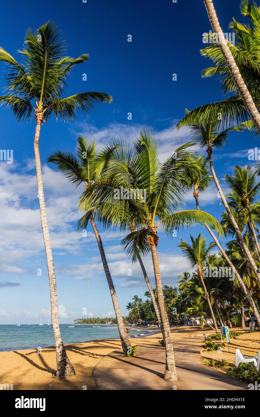 Beach in Las Terrenas, Dominican Republic Stock Photo - Alamy