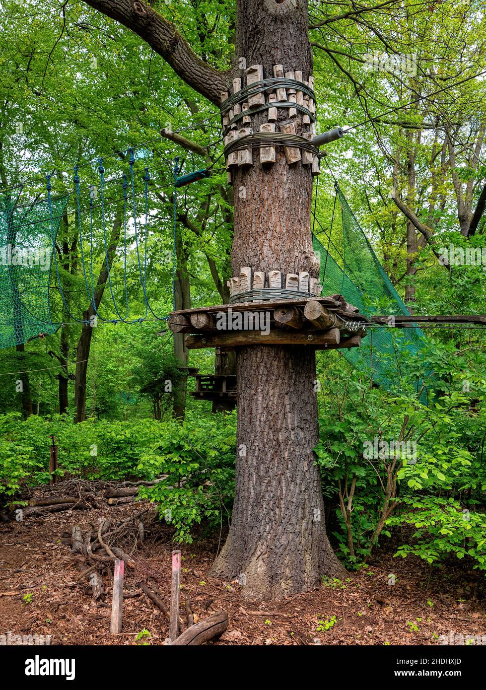 Ropes courses hi-res stock photography and images - Alamy