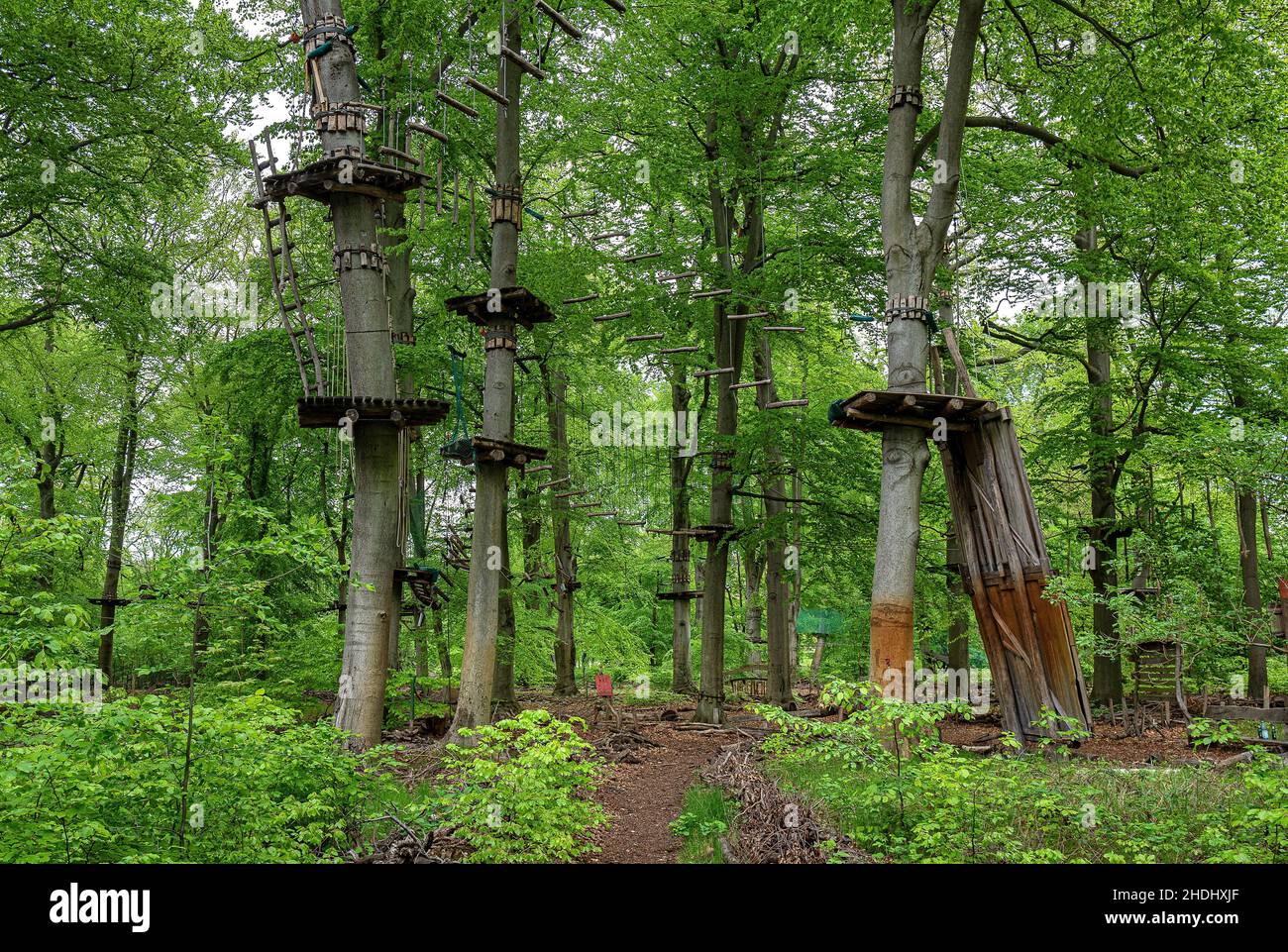 High ropes courses hi-res stock photography and images - Alamy