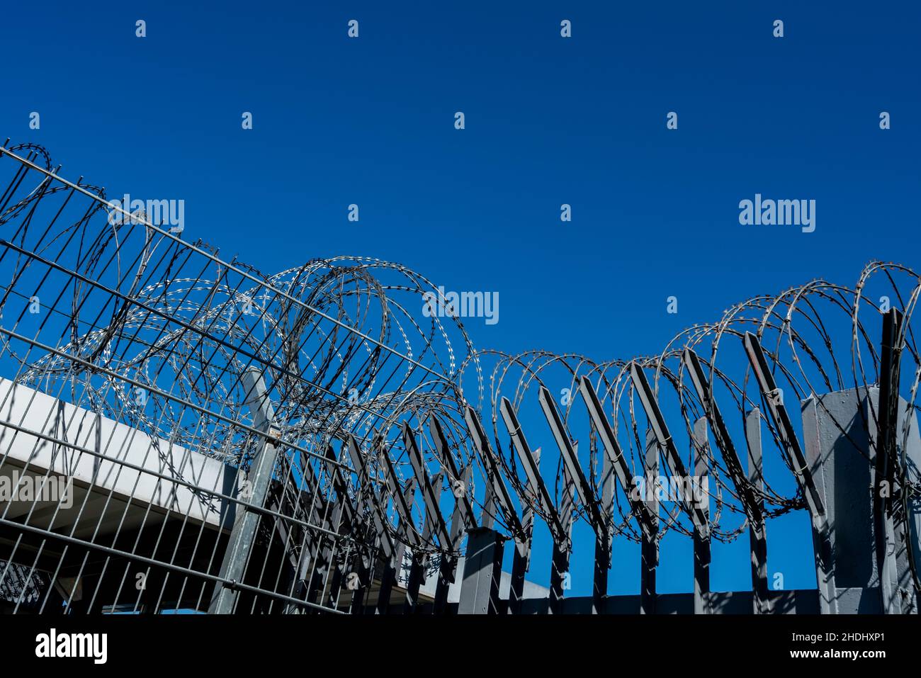caught, razor wire, barrier, caughts, razor wires, barriers Stock Photo ...