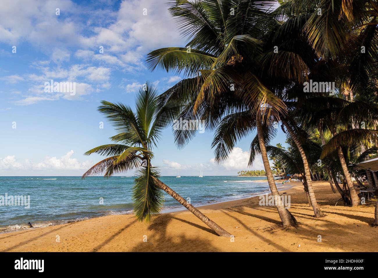 Beach in Las Terrenas, Dominican Republic Stock Photo - Alamy