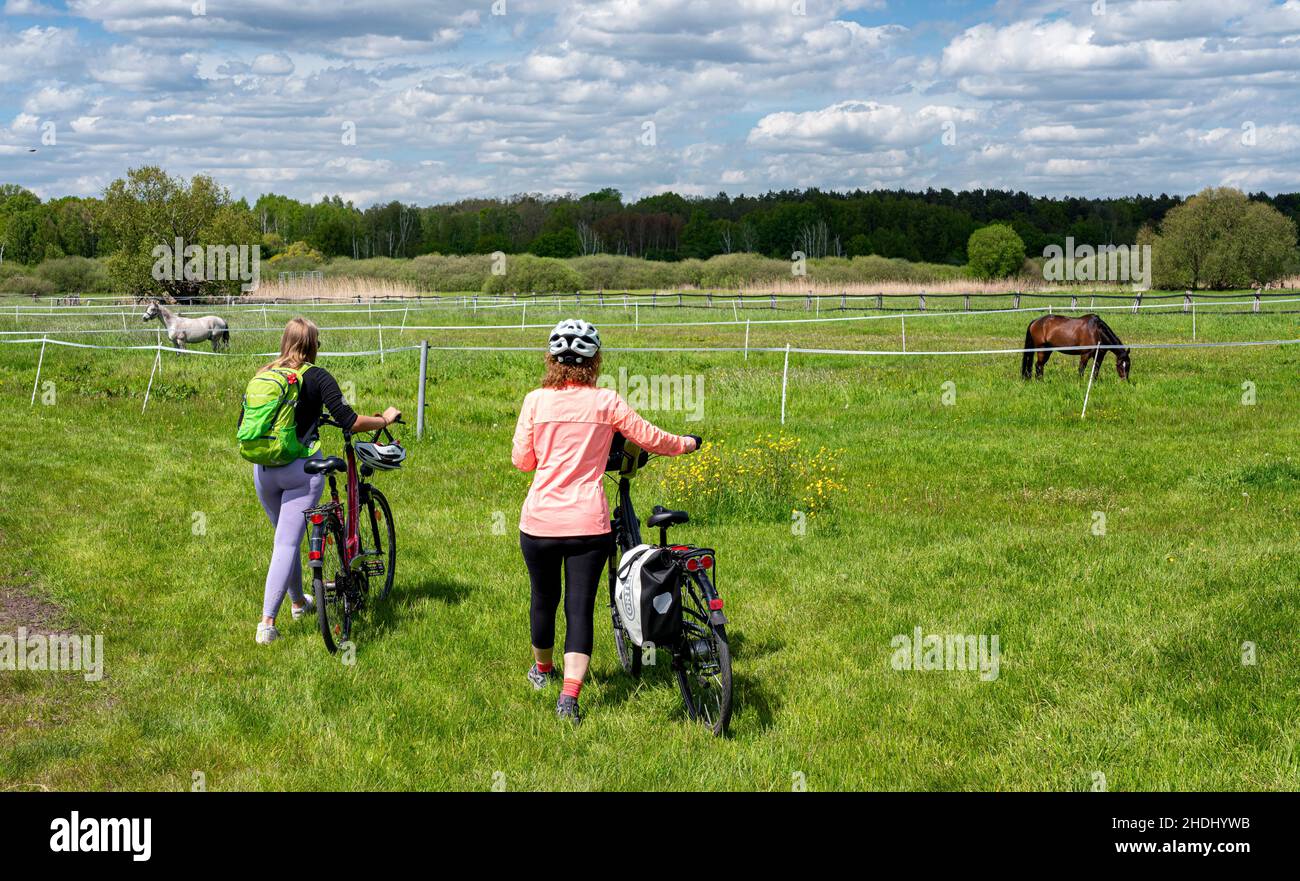 bicycle, cycling, pushing, bicycles, bike Stock Photo - Alamy