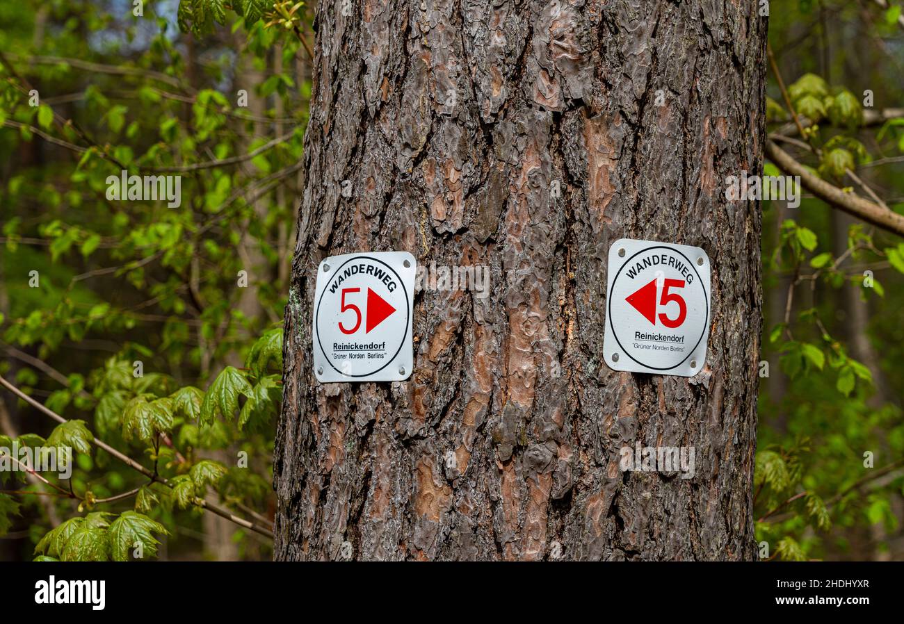 trail, 5, trails, five Stock Photo - Alamy