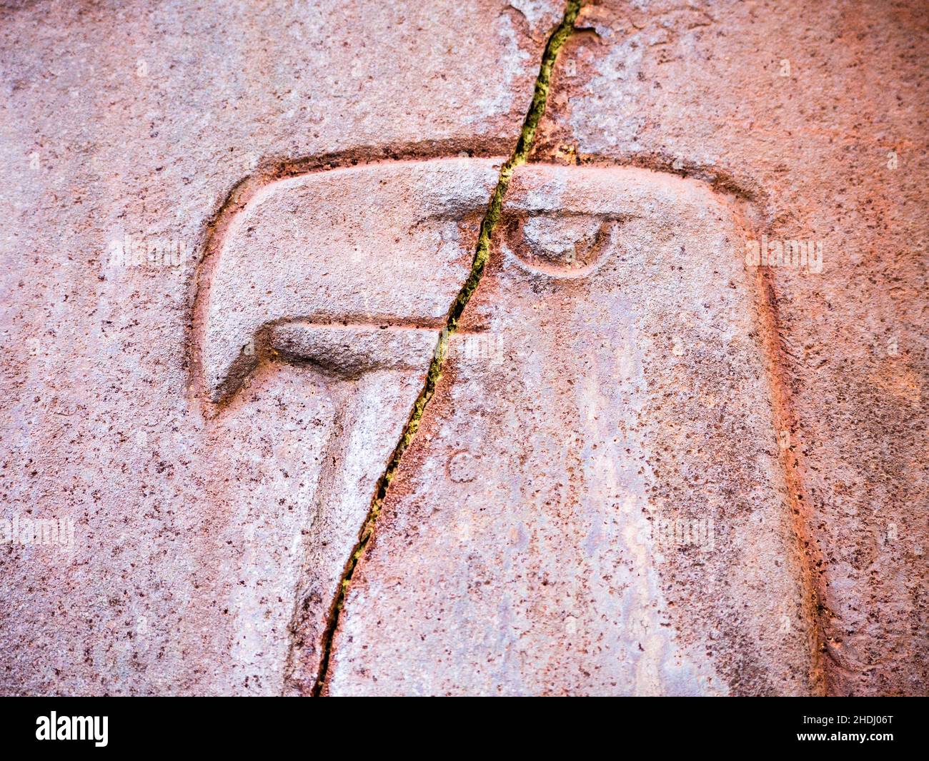 heraldic animal, cracked, eagle head, heraldic animals, crackeds, eagle ...
