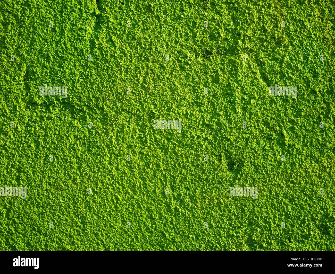 green, wall, structure, greens, walls, structures Stock Photo - Alamy
