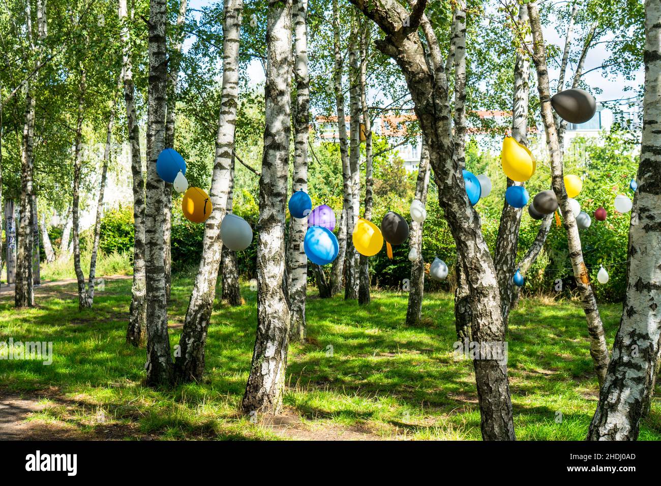 trees, balloons, party decoration, tree, balloon Stock Photo - Alamy
