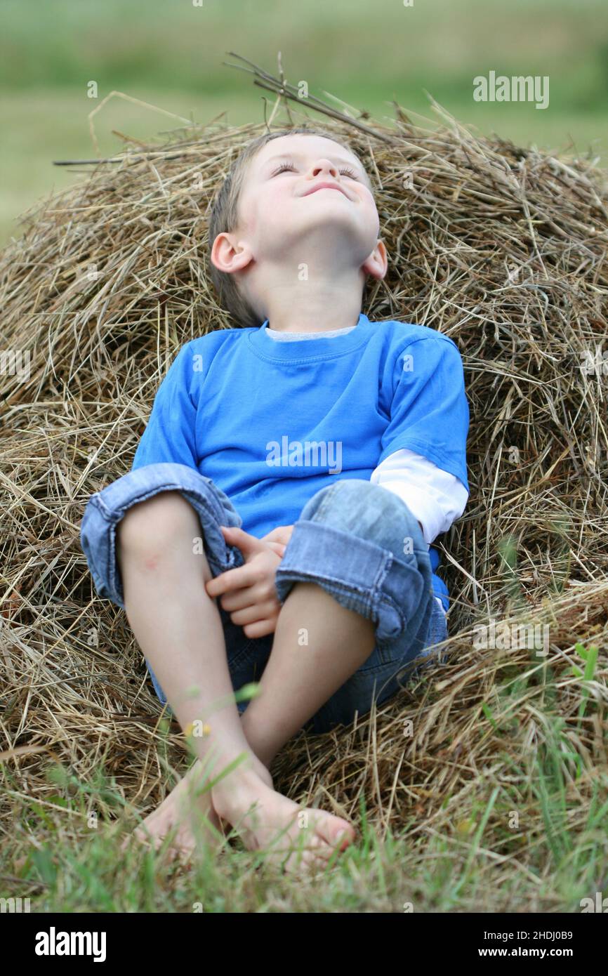 boy, child, haystack, boys, children, childs, kid, kids, haystacks ...