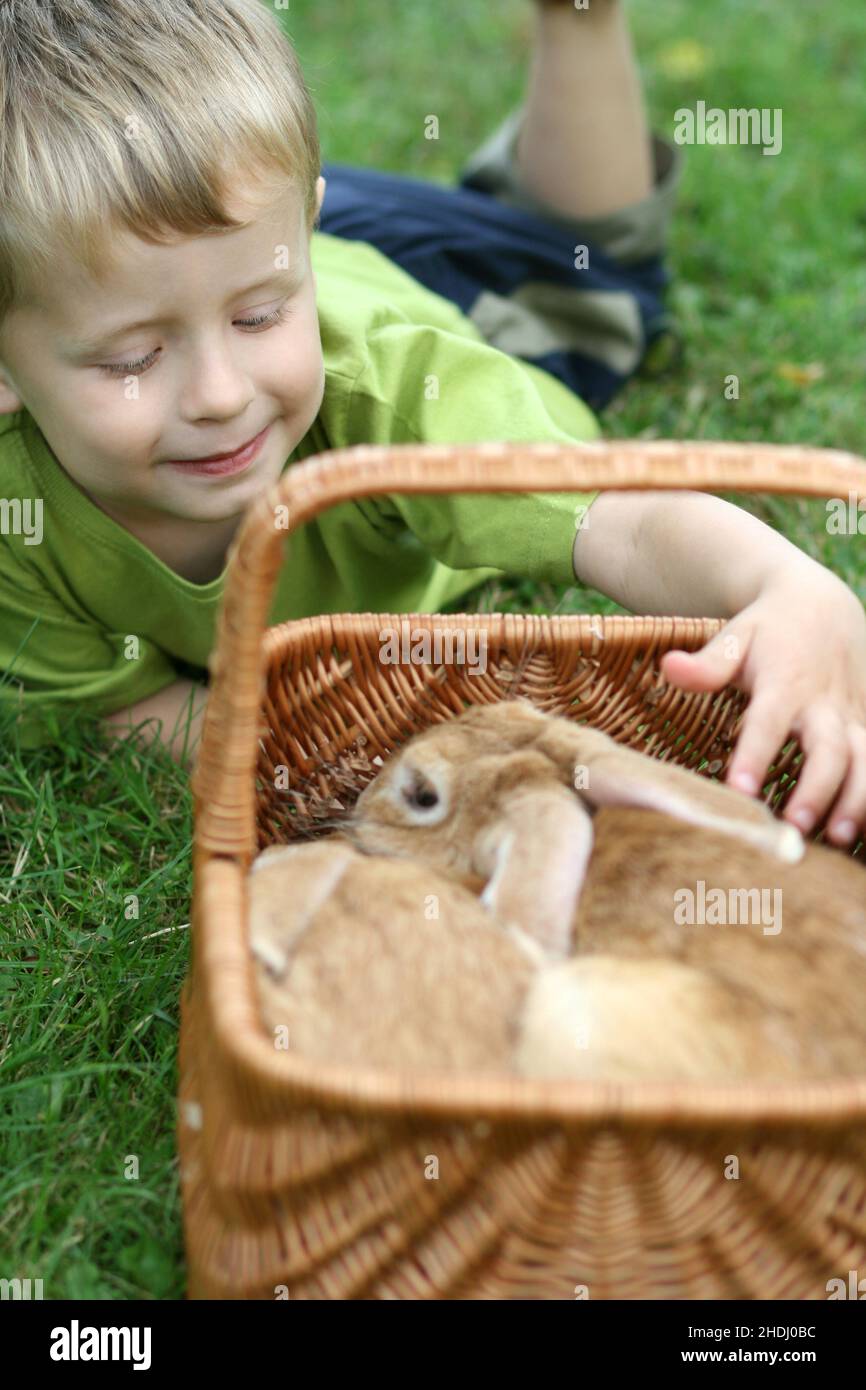 boy, rabbit, boys, hare, rabbits Stock Photo - Alamy