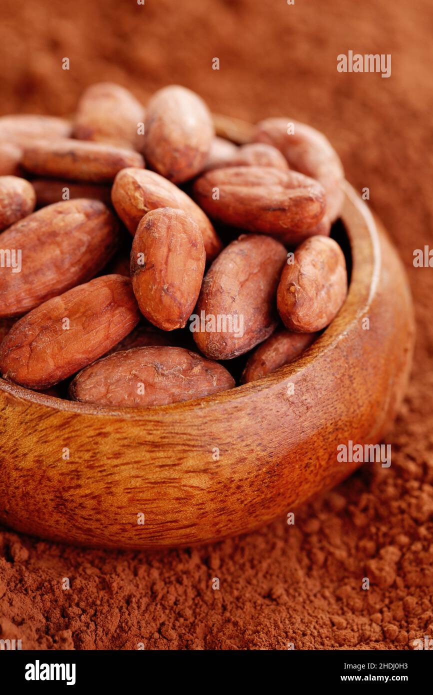 hot chocolate, cocoa bean, hot chocolates, cocoa beans Stock Photo - Alamy