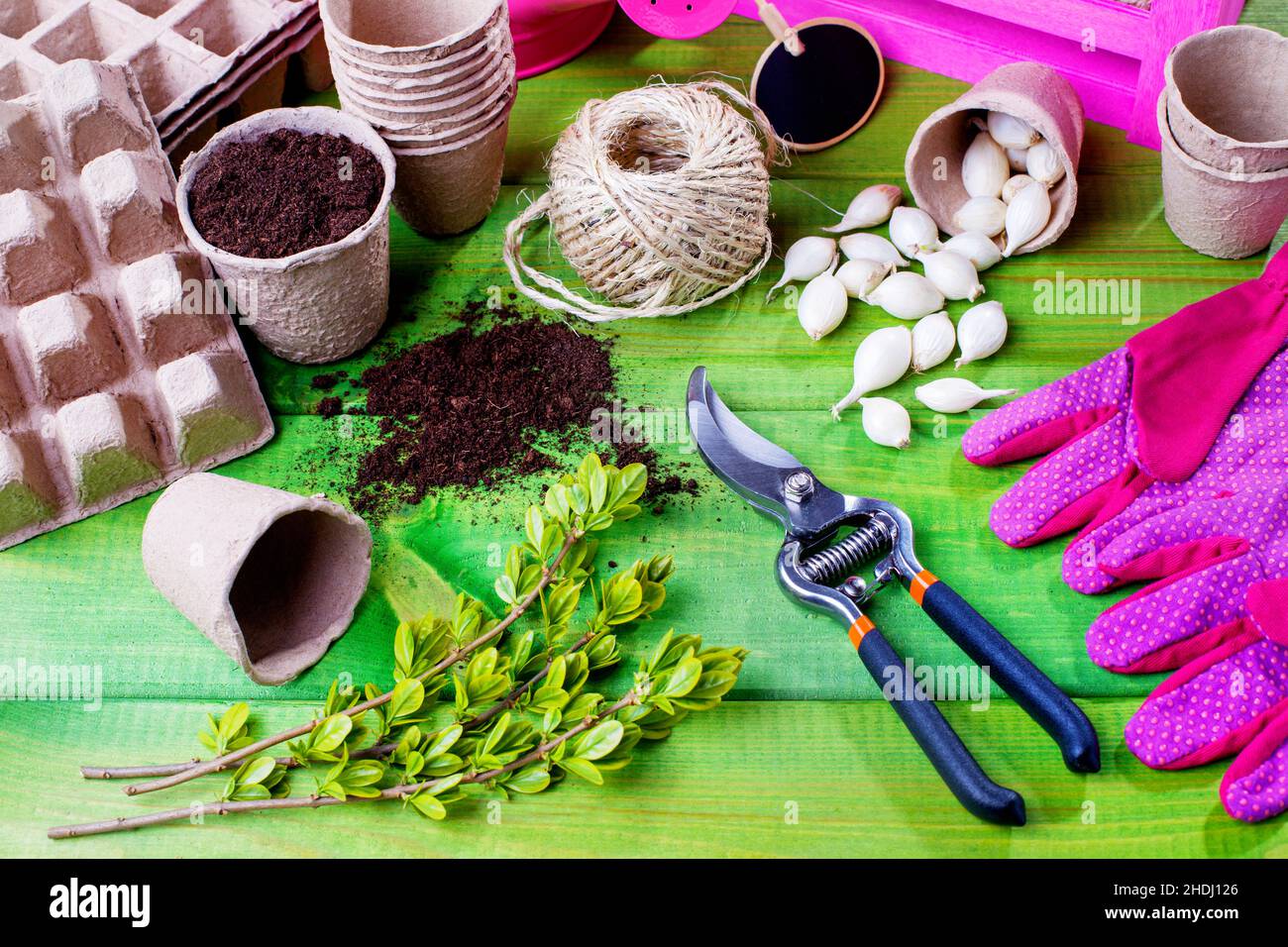 gardening, planting, plant breeding, cultivation, plant care, tending ...