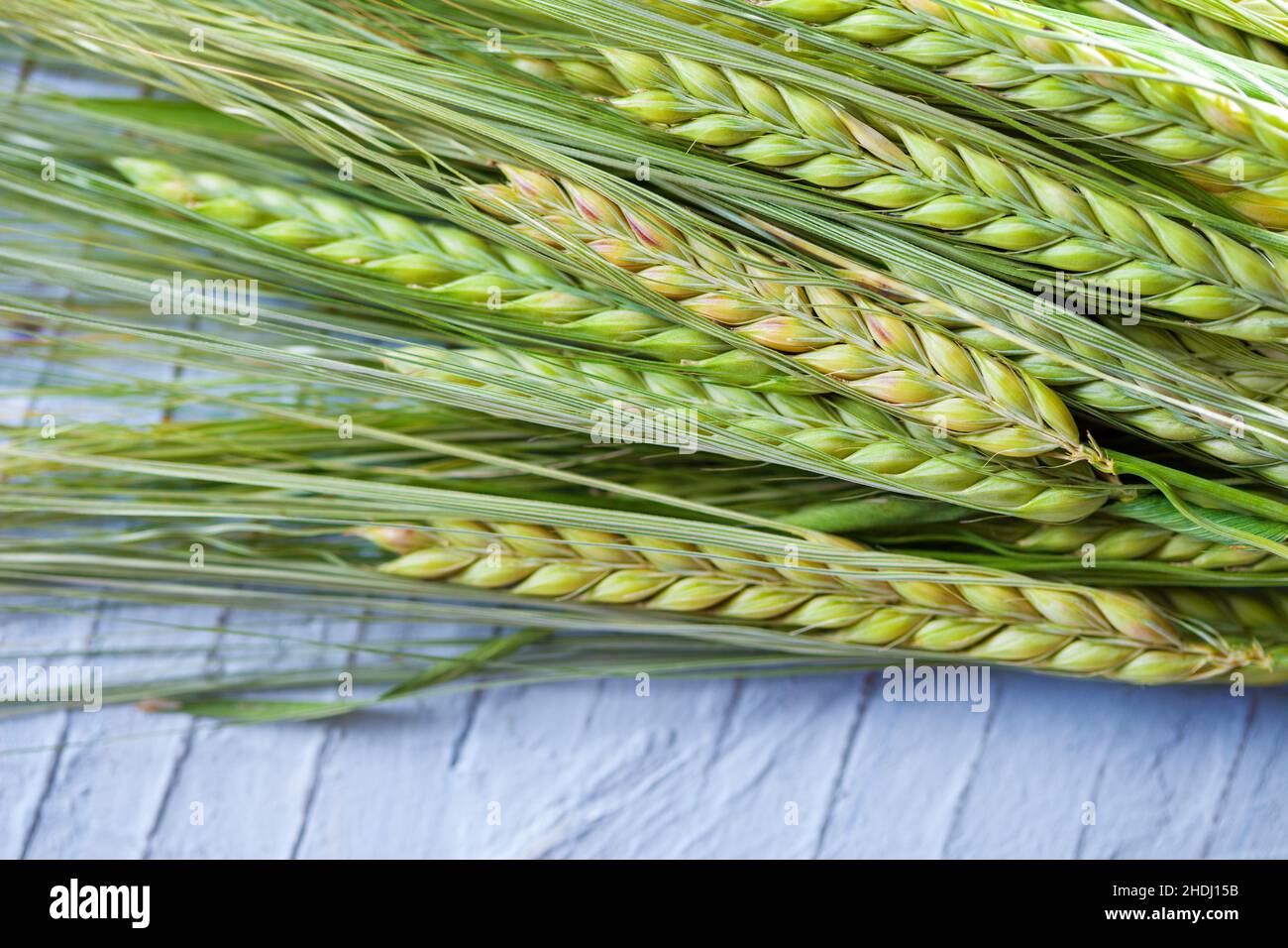 Wheat ears wheats ear hi-res stock photography and images - Alamy
