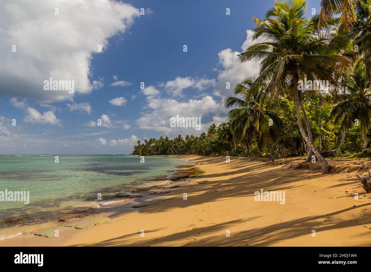 Beach in Las Terrenas, Dominican Republic Stock Photo - Alamy