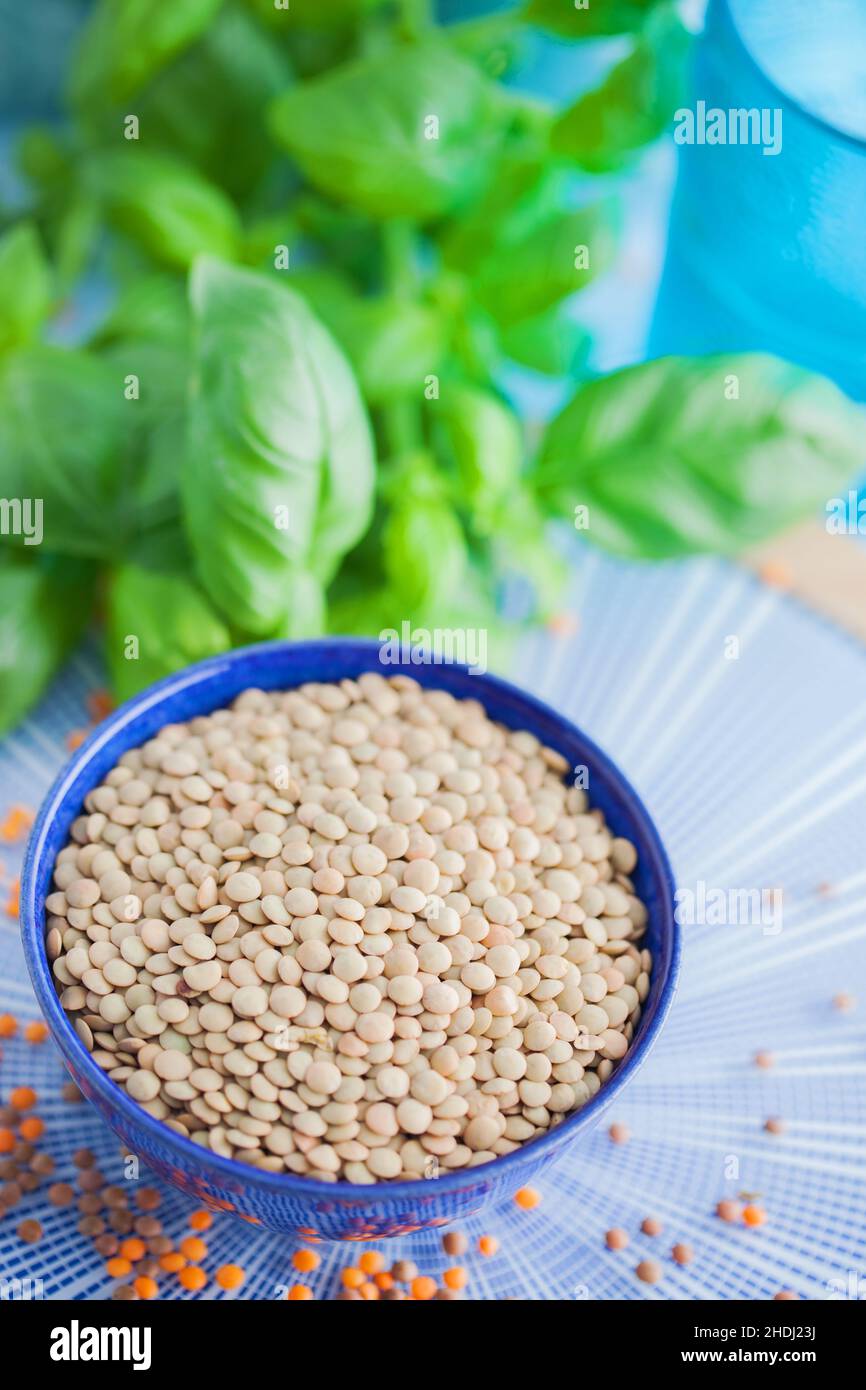 legume, lentil, legumes, lentils Stock Photo - Alamy