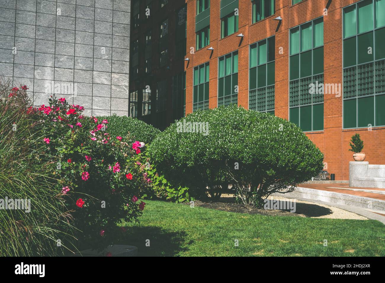 View of garden with bush plants and flowers among buildings in the city ...