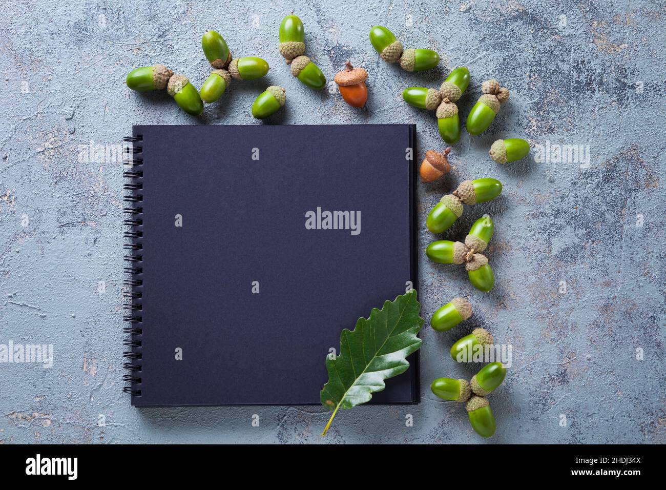 autumn, ring binder, fall, ring binders Stock Photo - Alamy