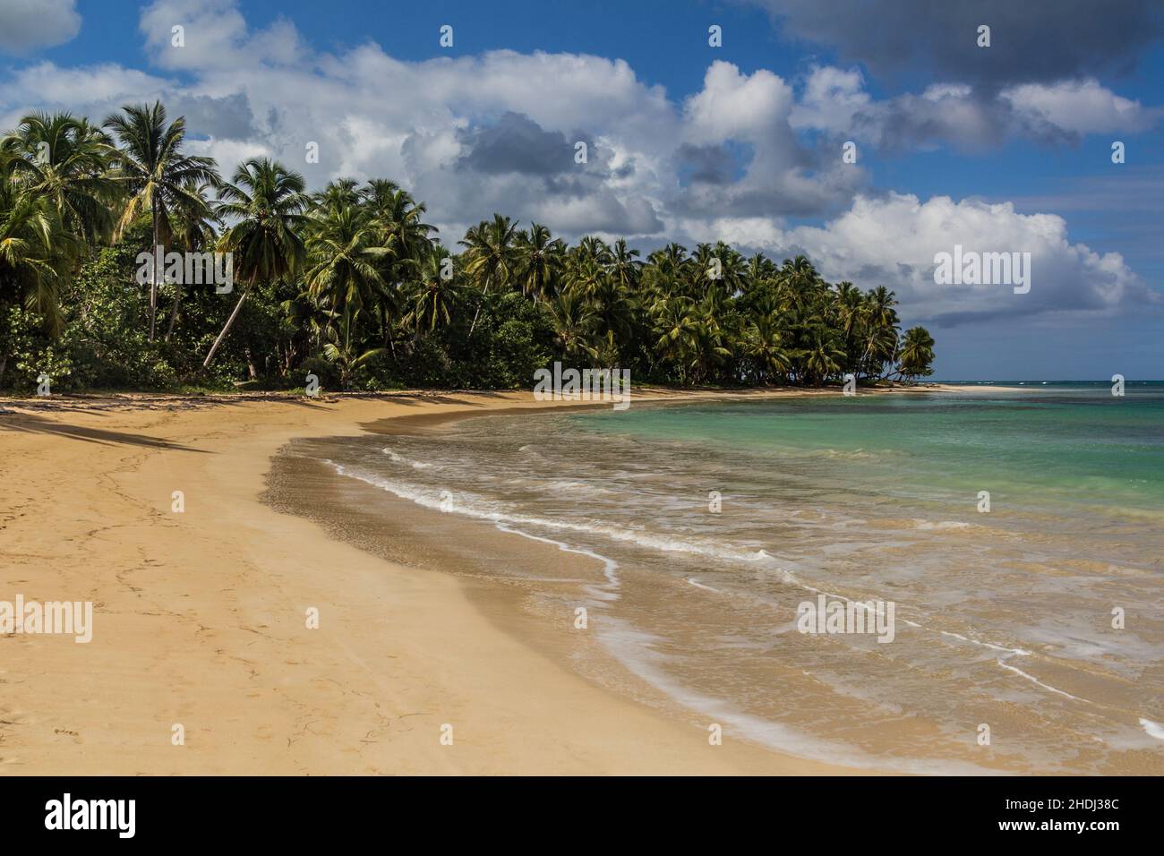 Beach in Las Terrenas, Dominican Republic Stock Photo - Alamy