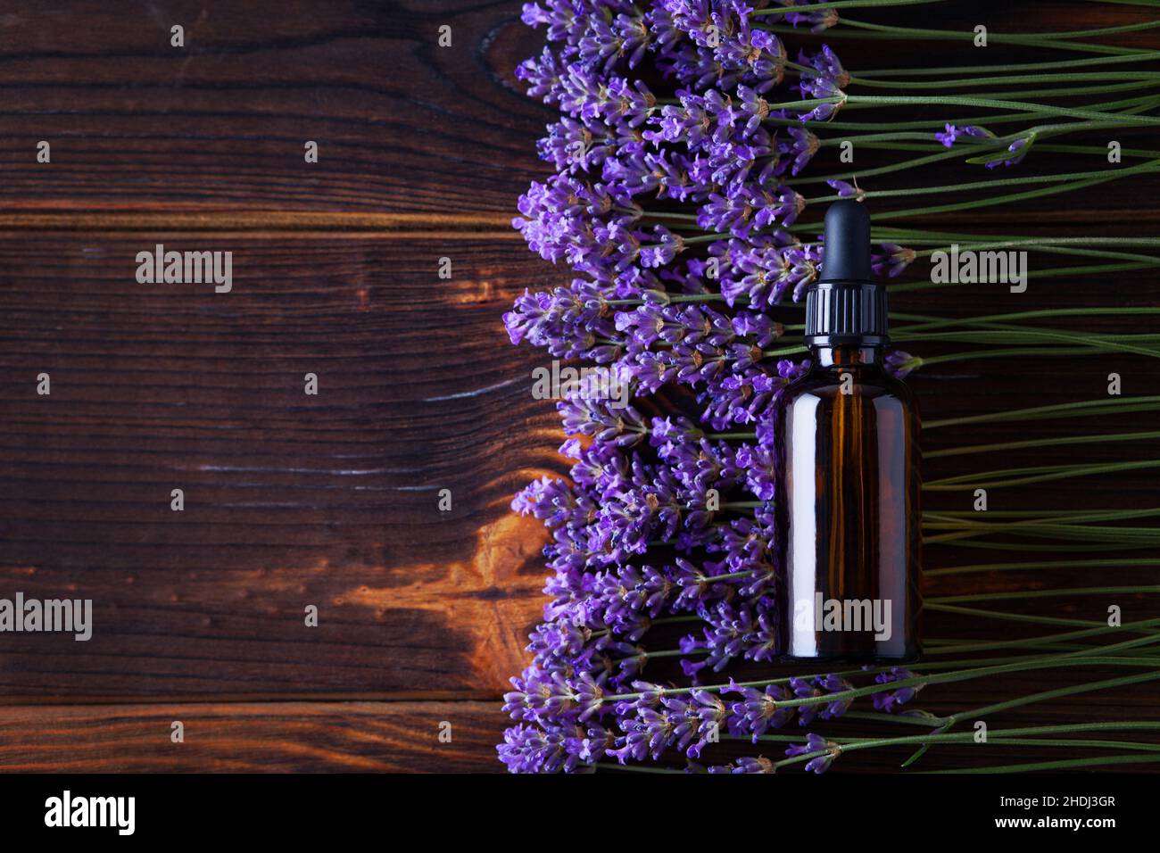 lavender oil, alternative medicine, aromatherapy, lavender oils ...