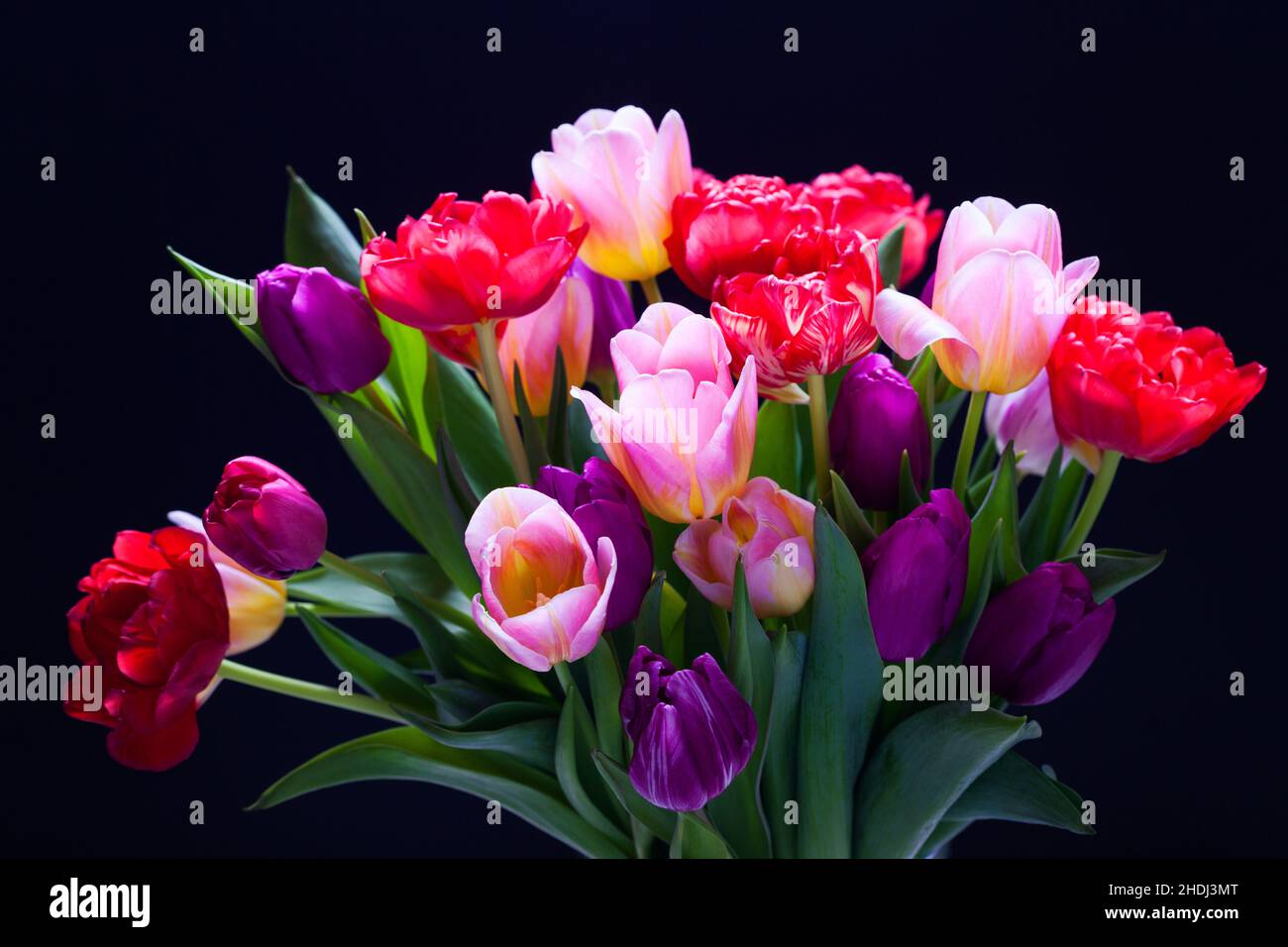 tulips bouquet, mothers day, flower gift, tulips bouquets, mothers days ...