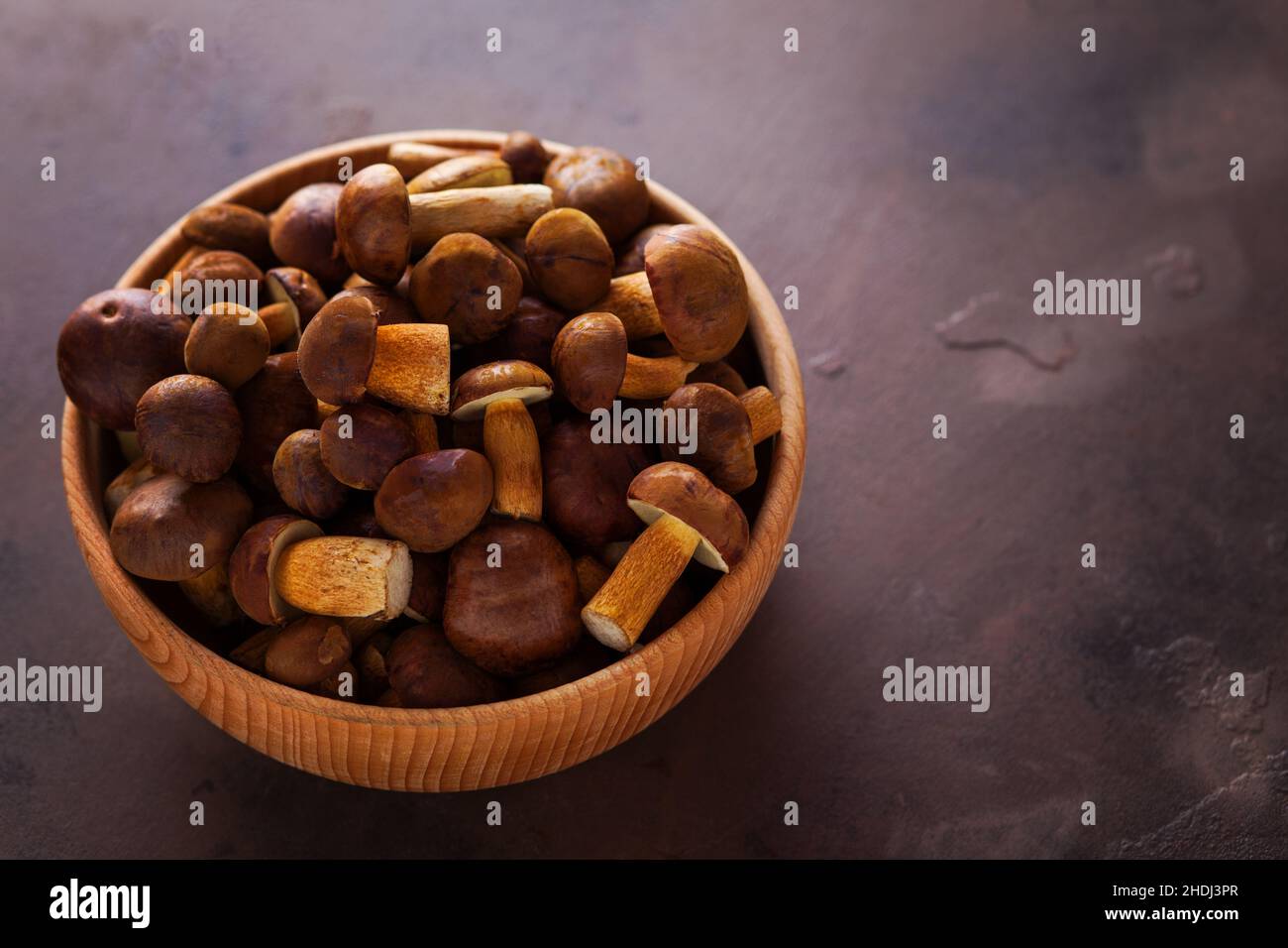 cepe, fungi, cepes, fungis Stock Photo - Alamy