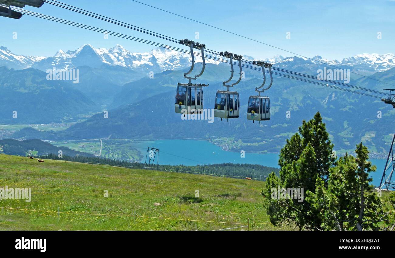 cable car, lake thun, gondola, niederhorn, cable cars, lake thuns ...