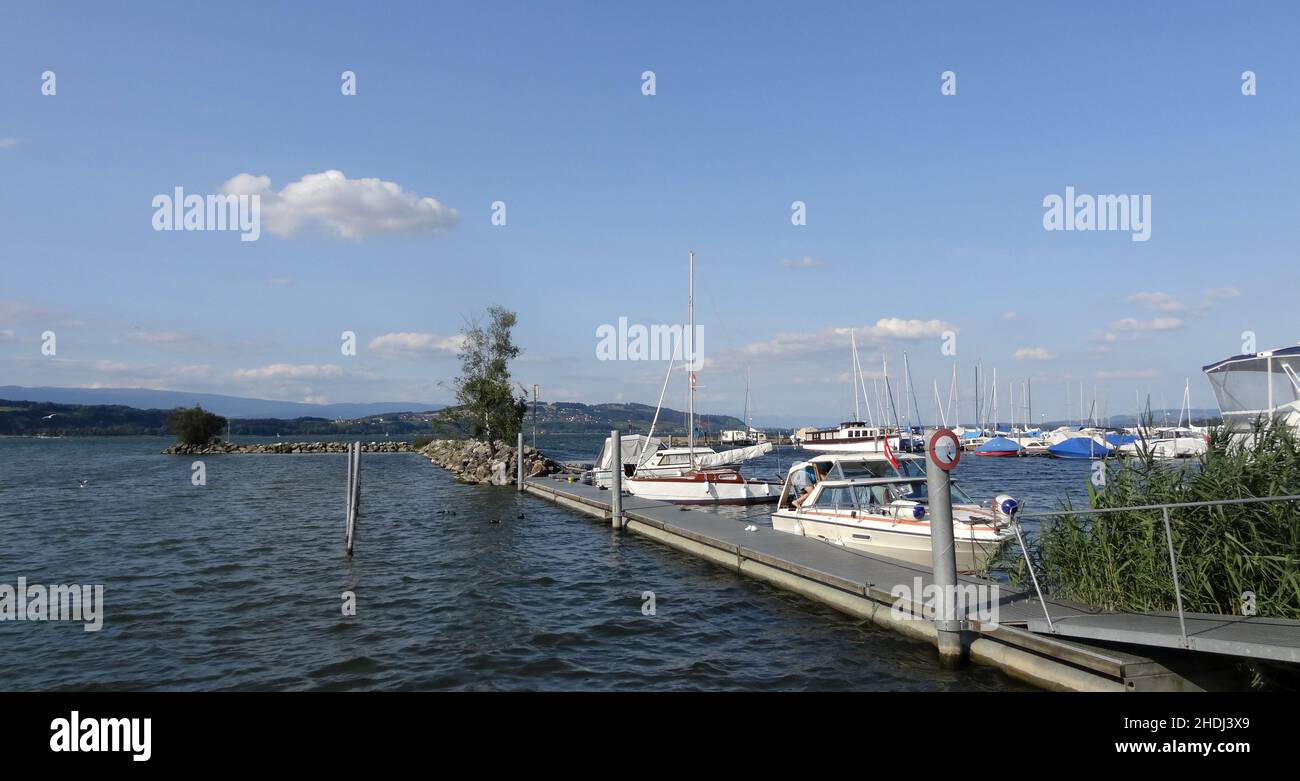 sailboat, boat dock, Lake Morat, sailboats, sailing, sailing boat ...
