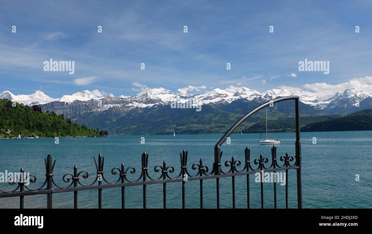 european alps, lake thun, lake thuns Stock Photo - Alamy