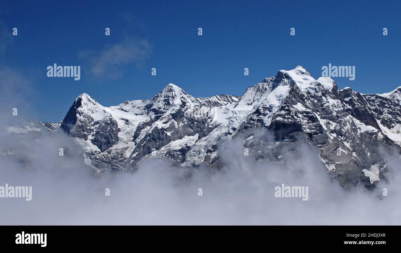 mountain range, switzerland, bernese alps, mountain ranges ...