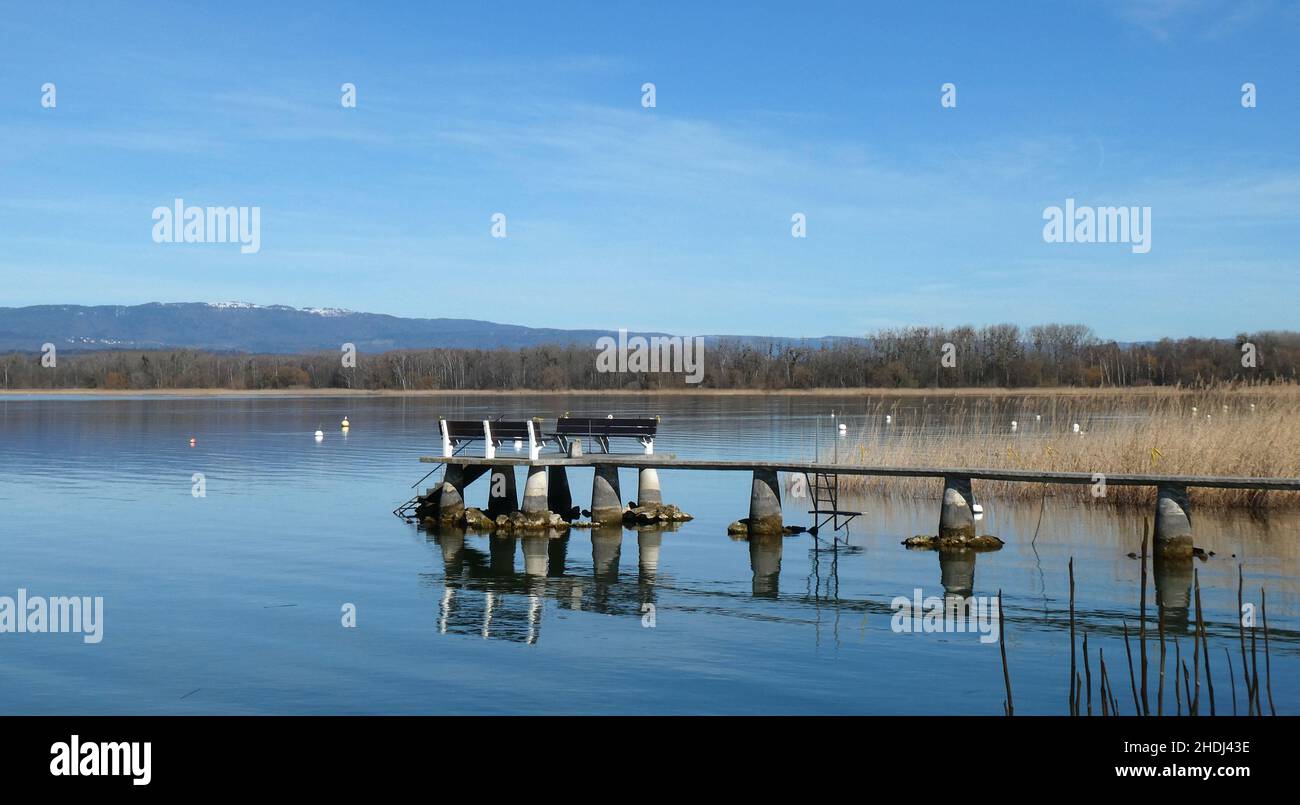 Lake morat hi-res stock photography and images - Alamy