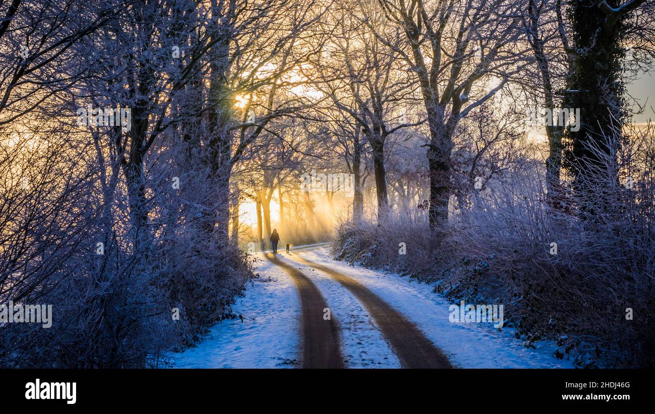 Sun winter walk hi-res stock photography and images - Alamy